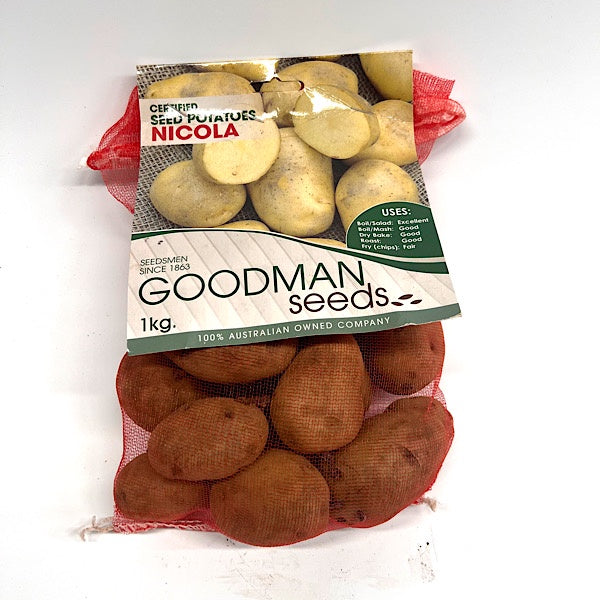 Seed Potato Nicola 1kg – Gardenworld