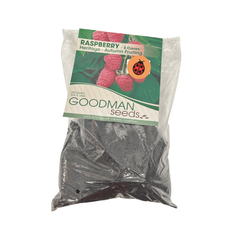 Raspberry Heritage 3 Canes Pre-Pack – Gardenworld