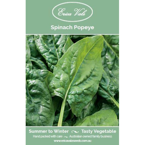 Spinach Popeye Seeds – Gardenworld