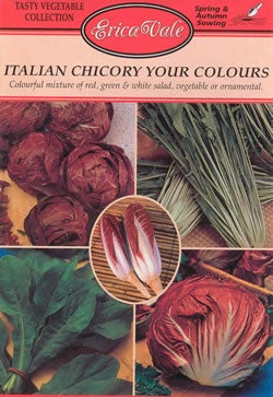 Chicory Italian Colours Seeds – Gardenworld