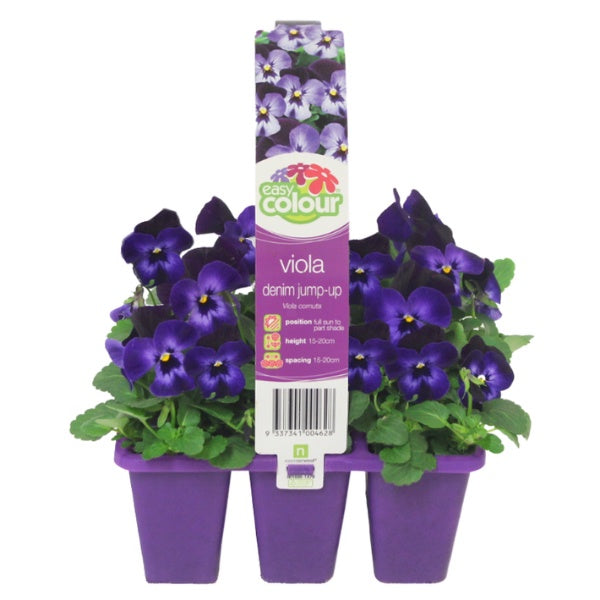 Viola Denim Jump Up – Gardenworld